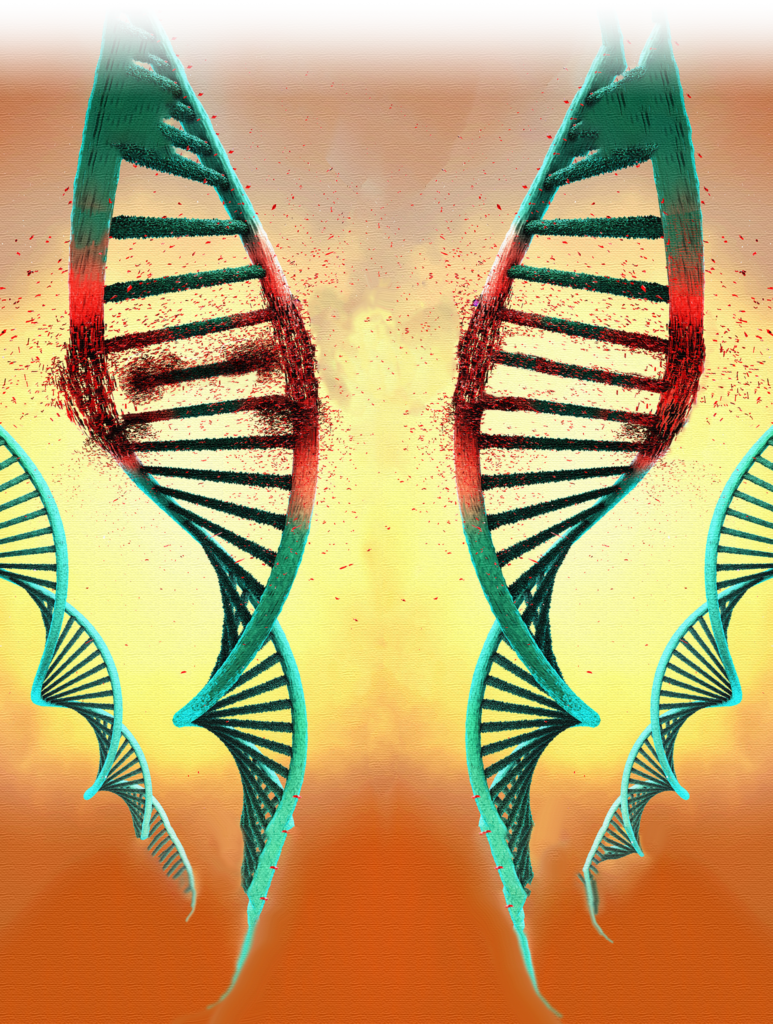 How Does Cancer Form – My Cancer Live